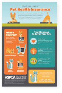 Client Educational Materials | ASPCA Pet Health Insurance Veterinary ...