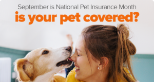 Digital Library | ASPCA Pet Health Insurance Veterinary Resources