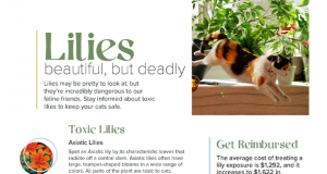 Digital Library | ASPCA Pet Health Insurance Veterinary Resources