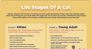 Digital Library | ASPCA Pet Health Insurance Veterinary Resources